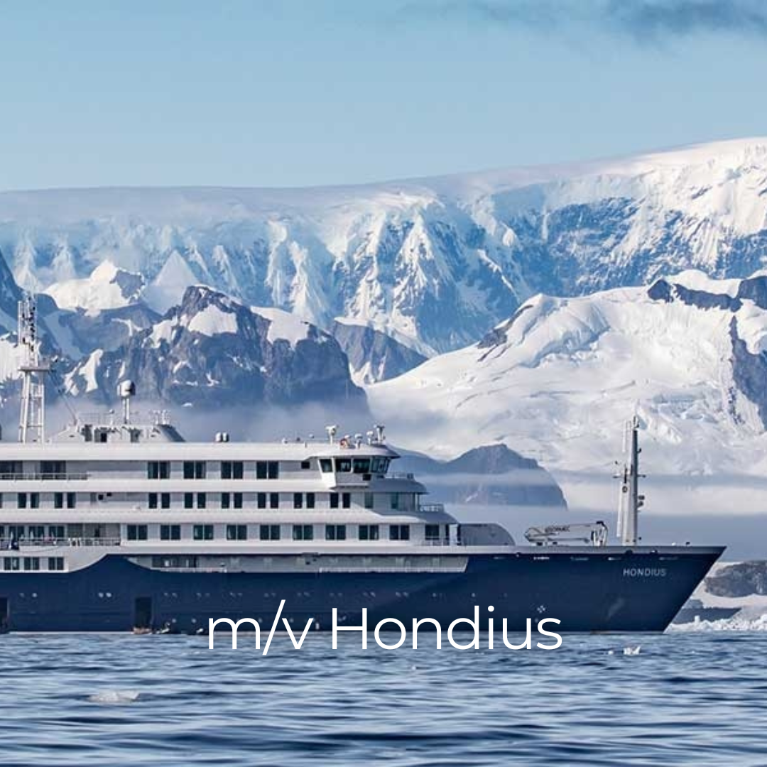 Scuba Diving Travel Trips | Boundless Expeditions