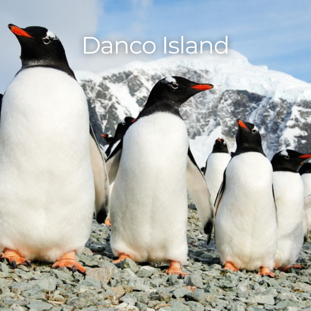 Scuba Diving Travel Trips | Boundless Expeditions