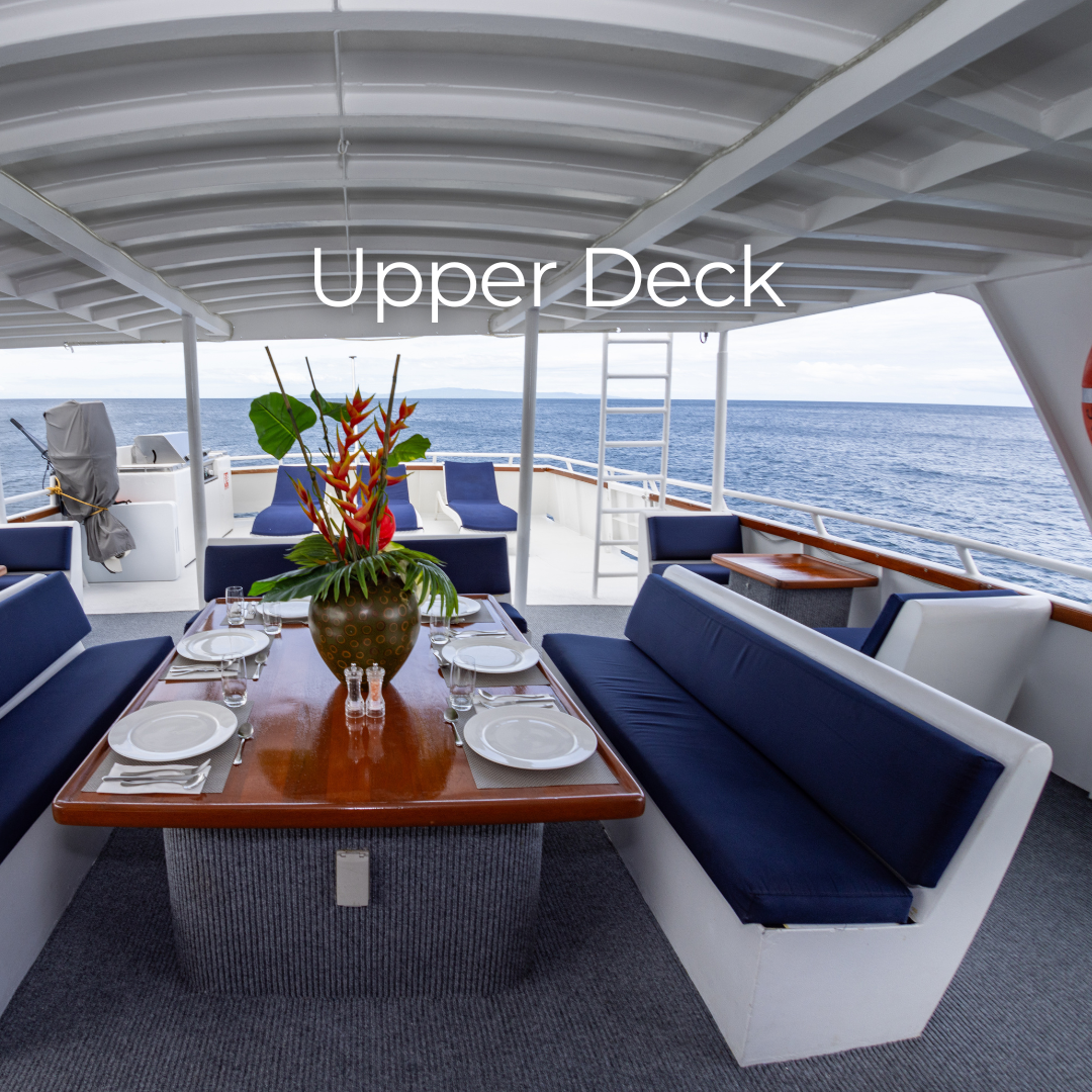 Scuba Diving Travel Trips | Boundless Expeditions