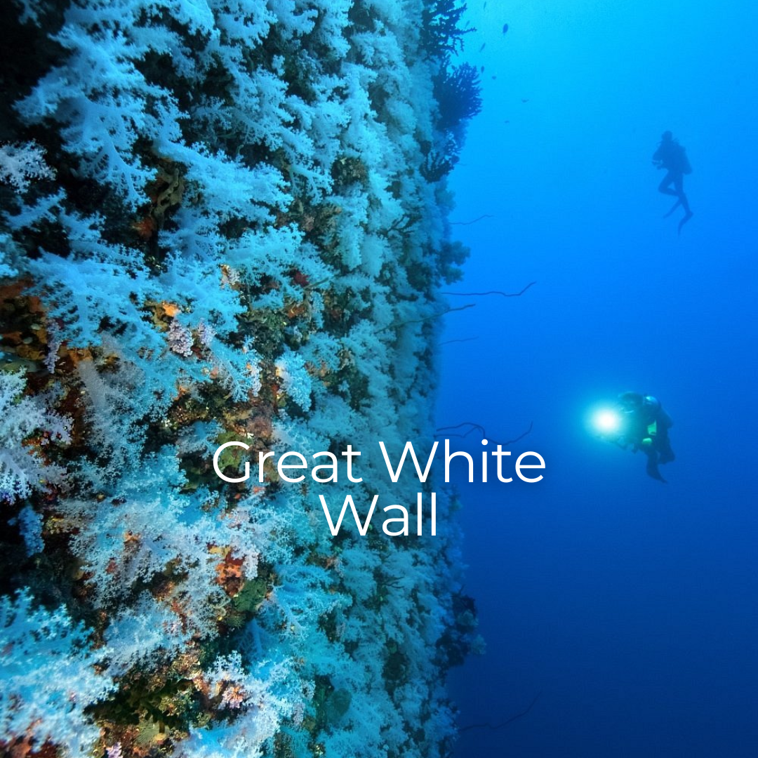 Scuba Diving Travel Trips | Boundless Expeditions